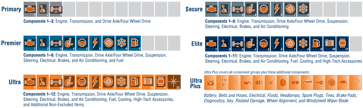 Coverage Options | Drive Burtness