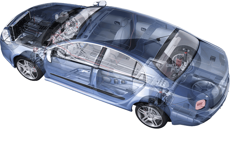 Coverage Options | Drive Burtness