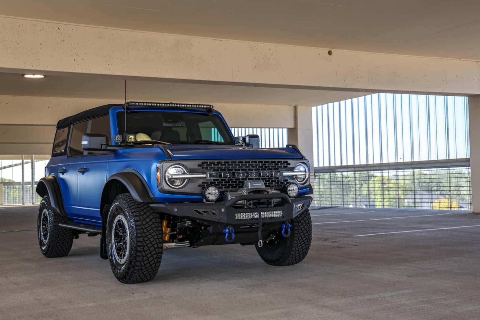 Gallery | Cryptic Customs