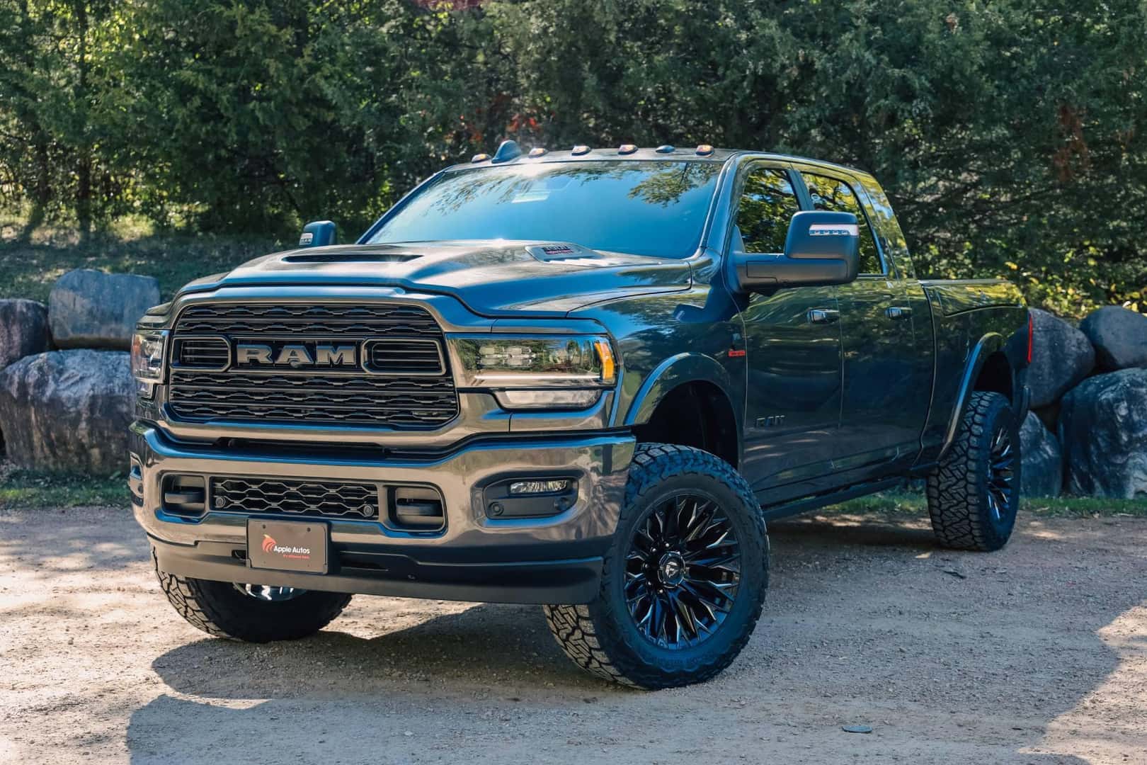 Gallery | Cryptic Customs