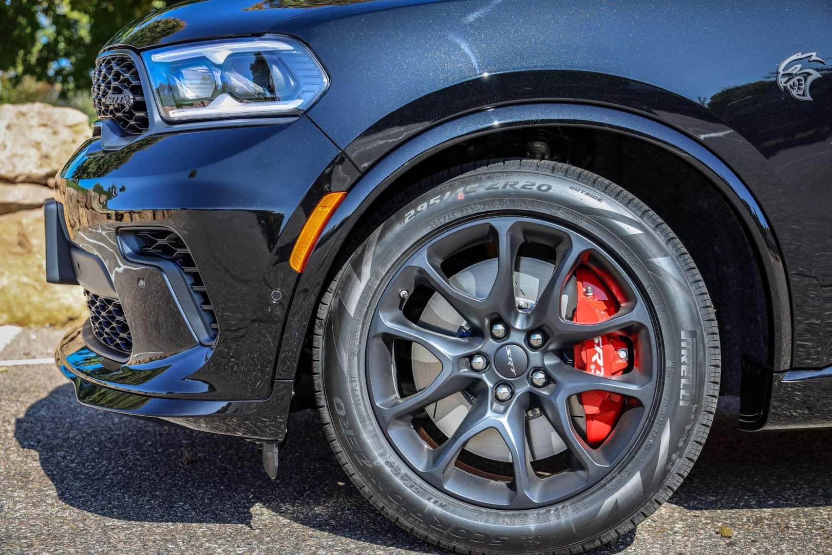 Gallery | Cryptic Customs