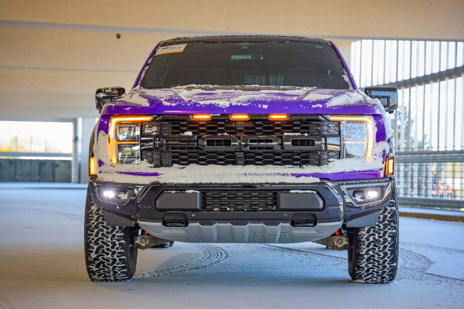 Gallery | Cryptic Customs