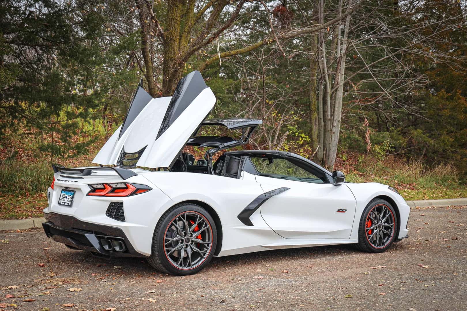 Gallery | Cryptic Customs