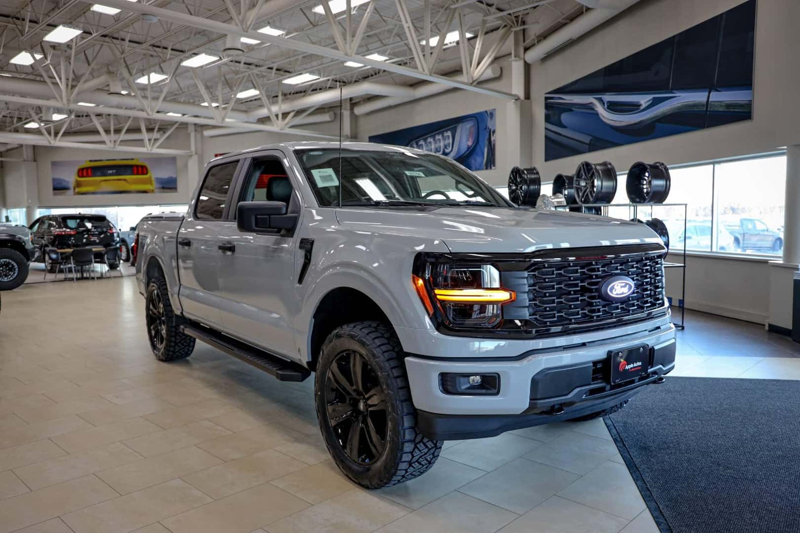 Gallery | Cryptic Customs