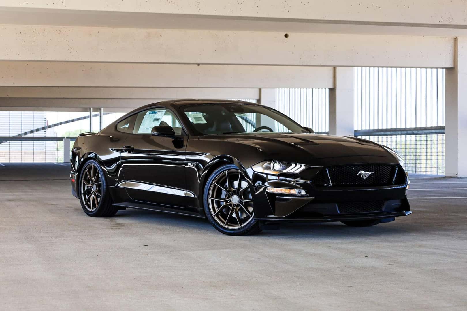 Gallery | Cryptic Customs