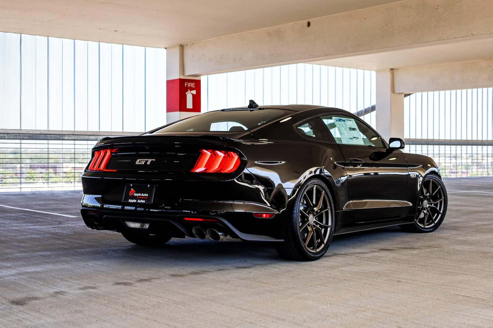 Gallery | Cryptic Customs