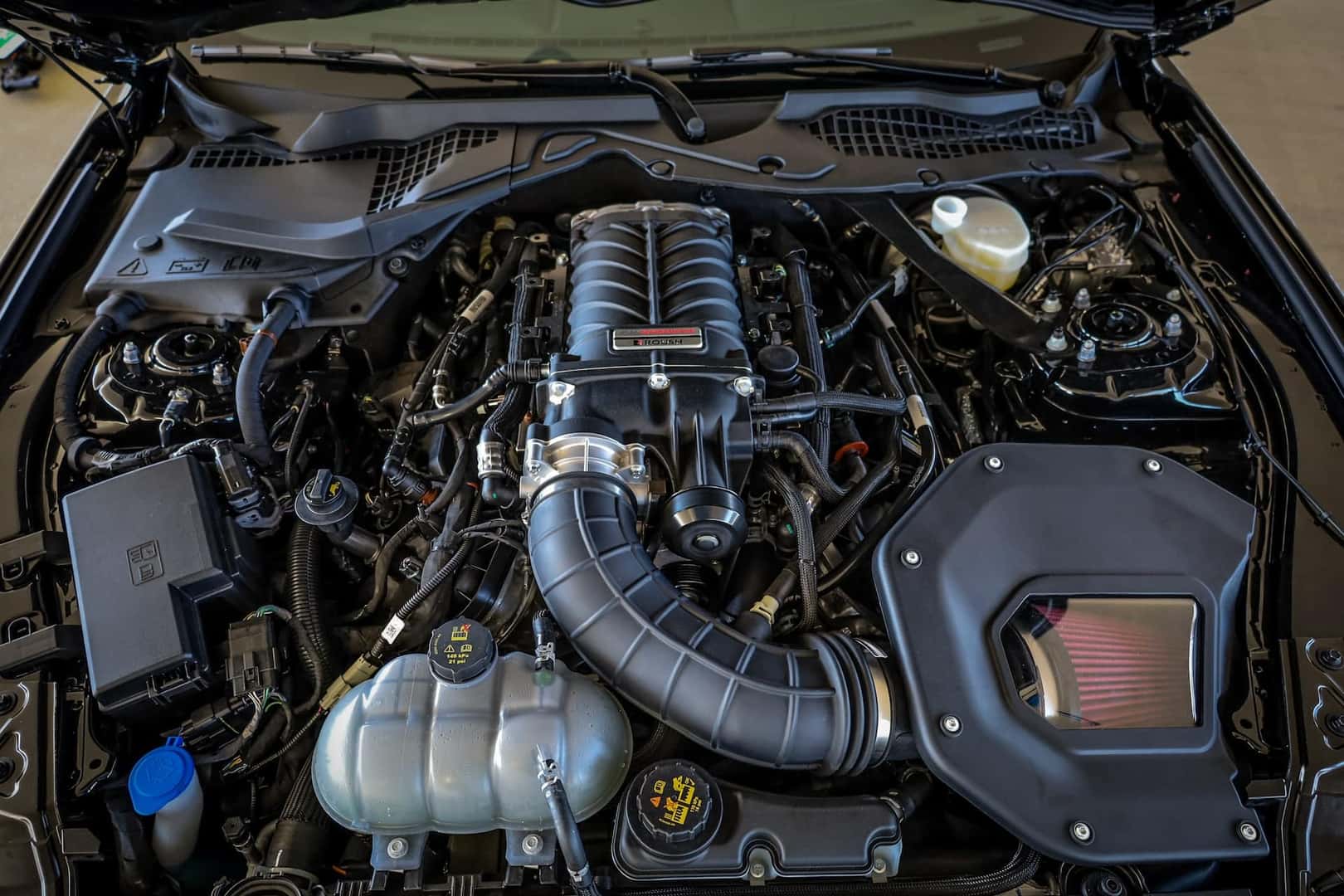 Cryptic Customs by Apple Autos