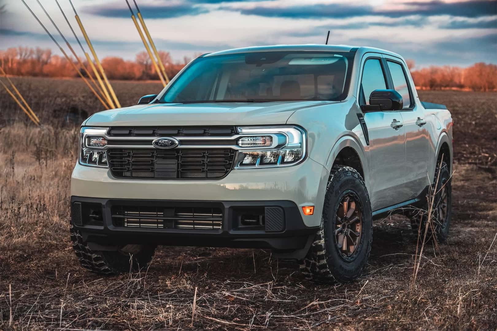 Gallery | Cryptic Customs