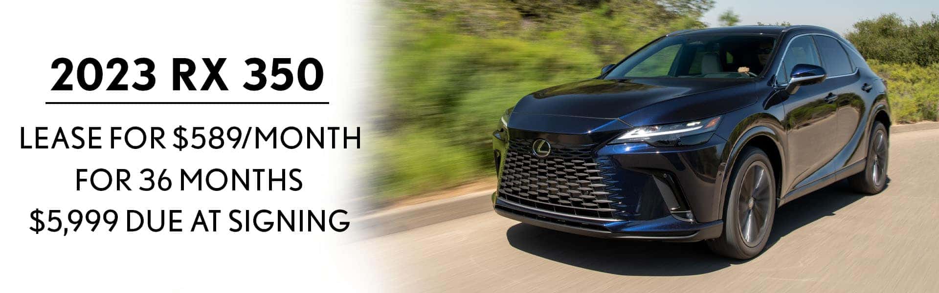 Willis Lexus | Lexus Dealer in Des Moines, IA