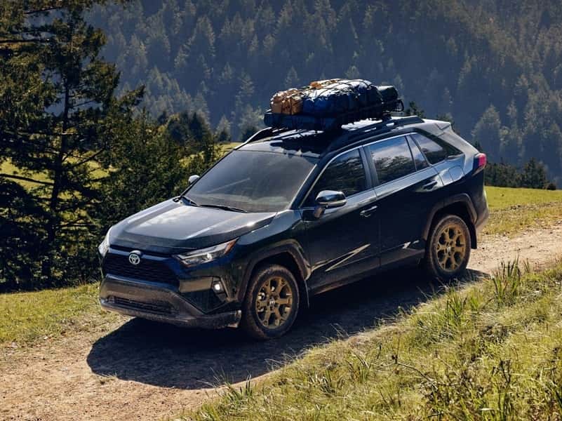 Toyota Dealer Grand Island | Maguire Toyota of Grand Island