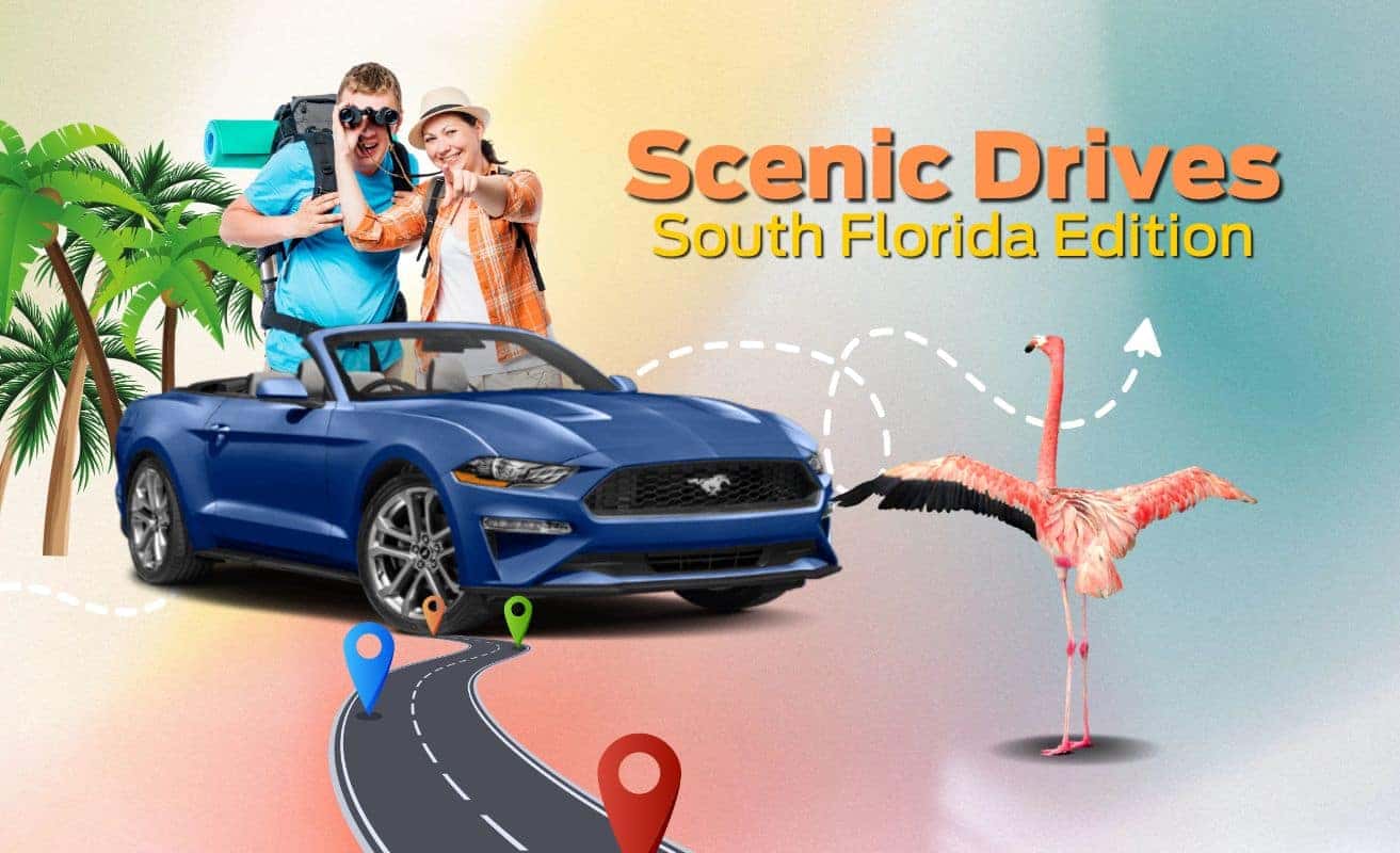 Scenic Drives Of South Florida | Mullinax Ford of Vero Beach