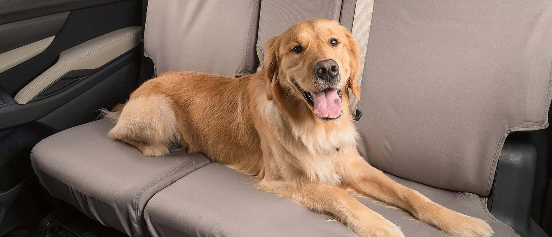 Genuine Subaru Pet-Friendly Accessories | Quantrell Subaru