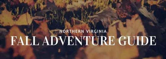 2016 Northern Virginia Fall Adventure Guide | Safford of Winchester