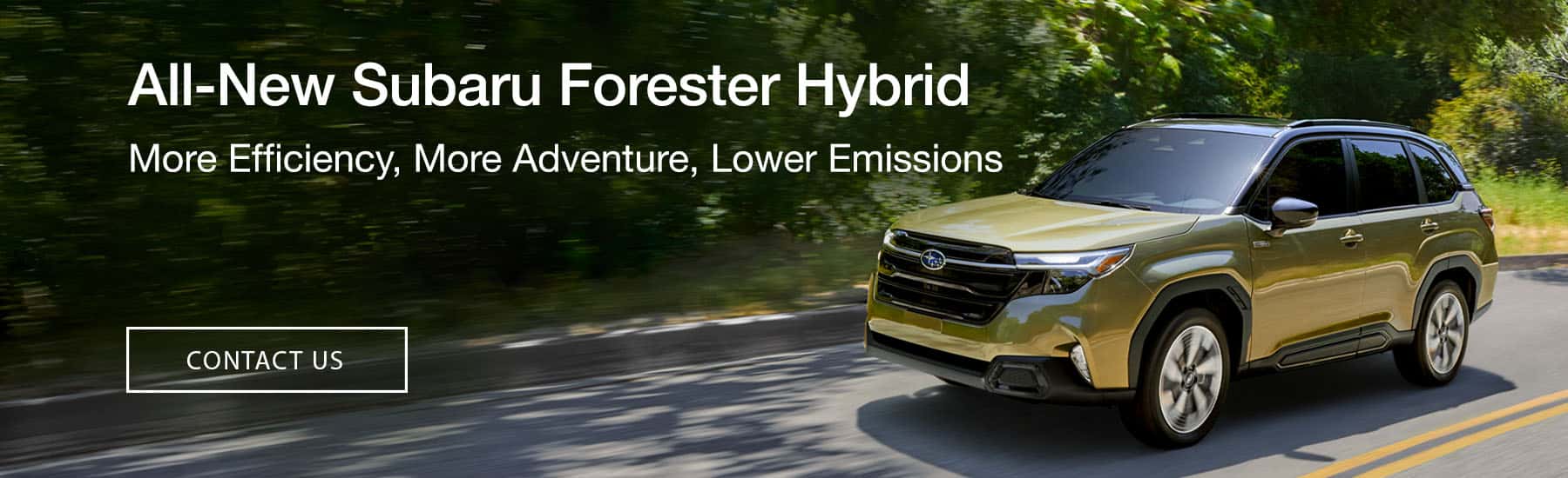 Sewell Subaru of Dallas | New & Used Subaru Dealership serving Dallas ...