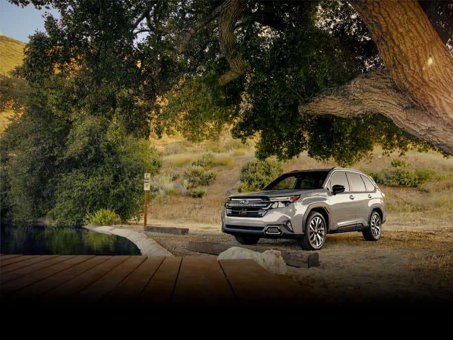 Sewell Subaru of Dallas | New & Used Subaru Dealership serving Dallas ...