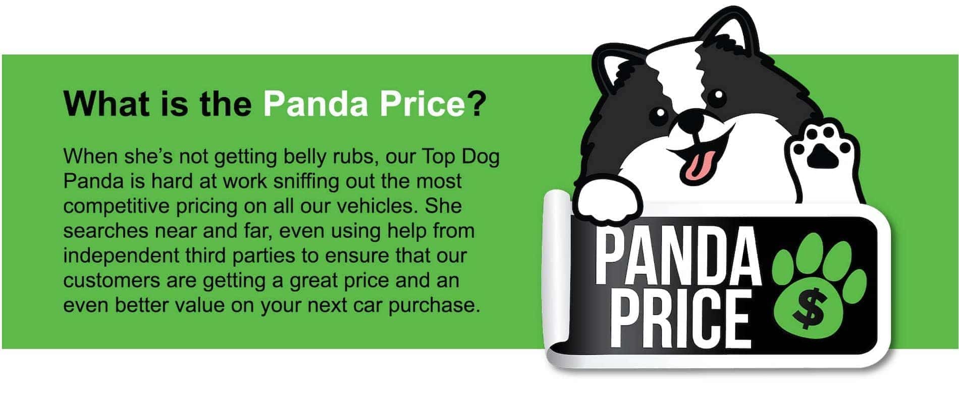 Meet Panda - Spitzer Ford Hartville